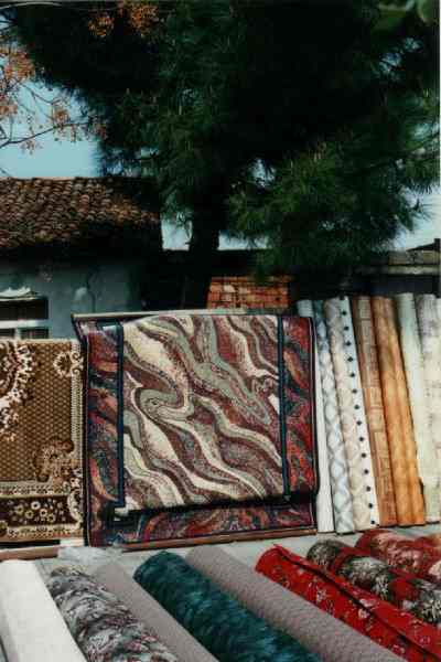 newsletter Albanien - Artikel - Ledia Dushi